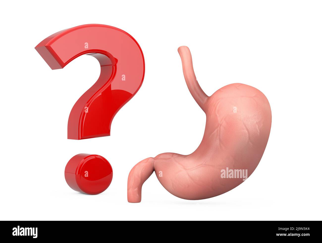 Human Stomach Anatomy Internal Organ with Red Question Mark on a white ...