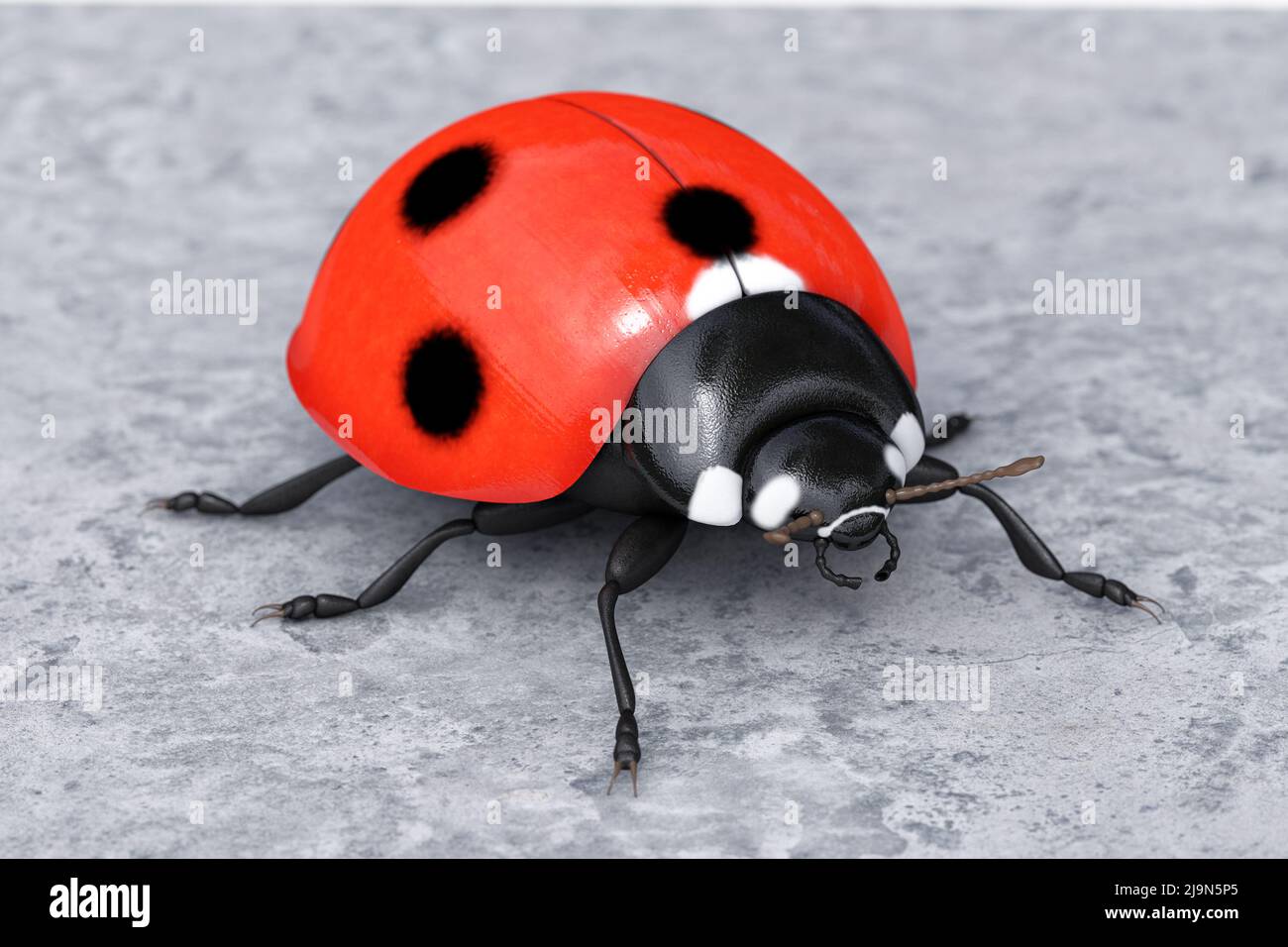 Red Realistic Beautiful Ladybird on a white floor background. 3d ...