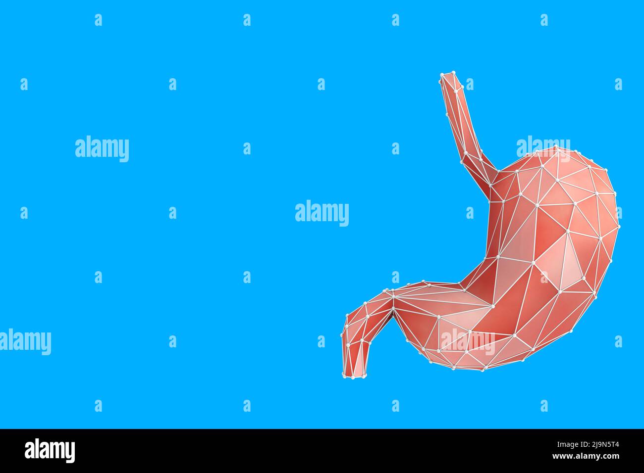 Low Poly Human Stomach Anatomy Internal Organ on a blue background. 3d ...