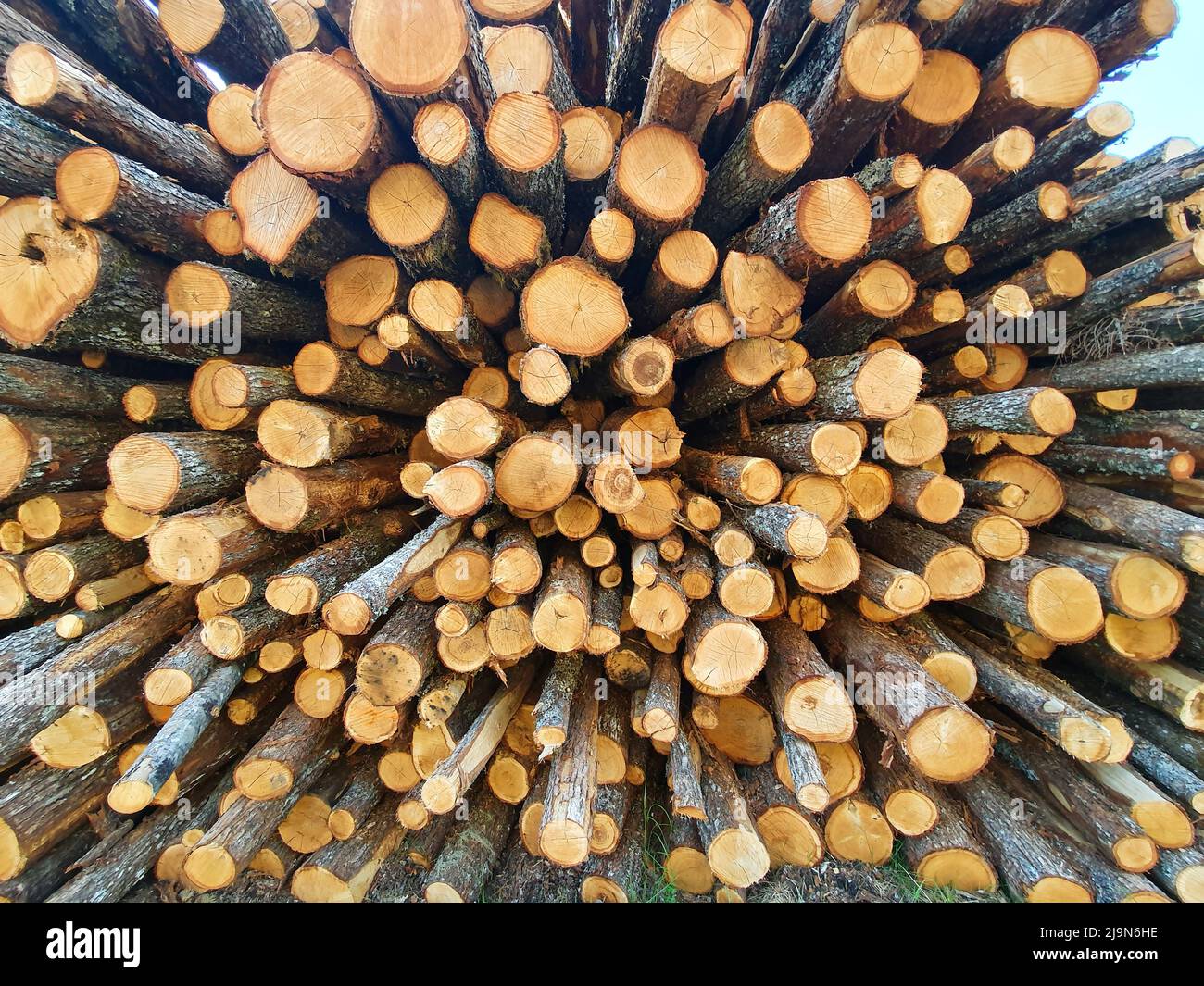 Timber cutting hi-res stock photography and images - Alamy