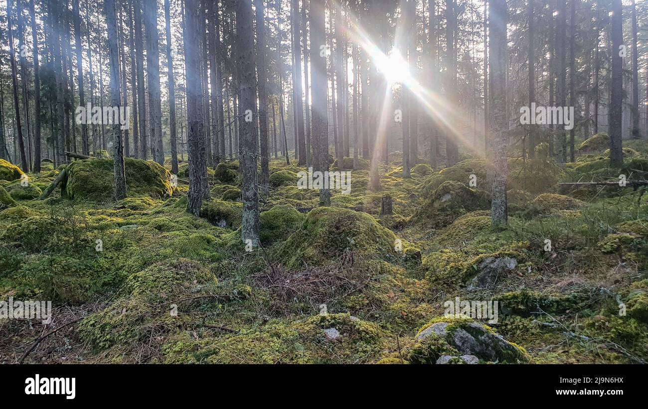 Beautiful sunset sunrise sun hi-res stock photography and images - Alamy