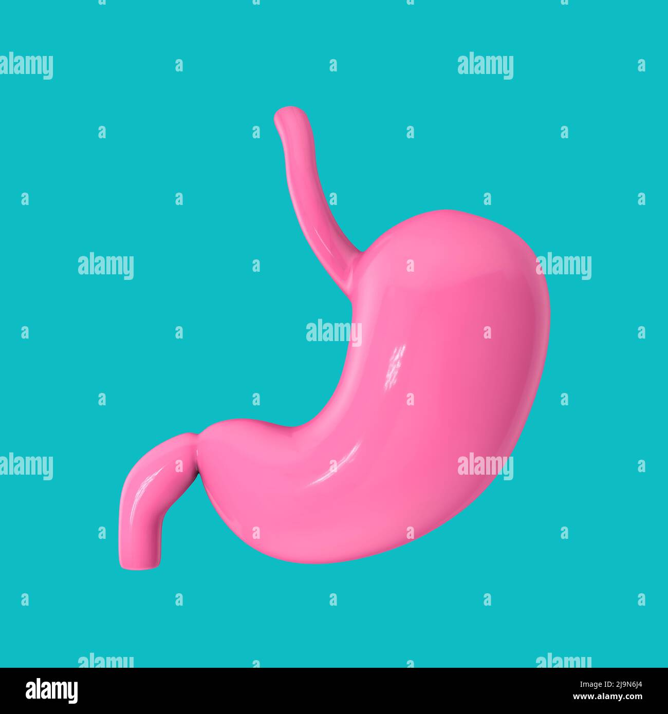 Pink Human Stomach Anatomy Internal Organ as Duotone Style on a blue ...
