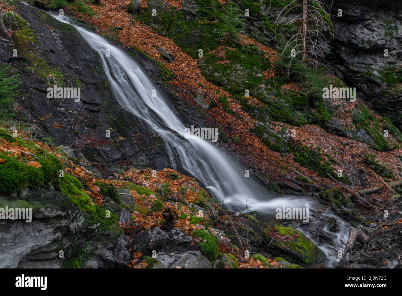 Prudky rucej creek with waterfall near confluence with Jizera river in ...