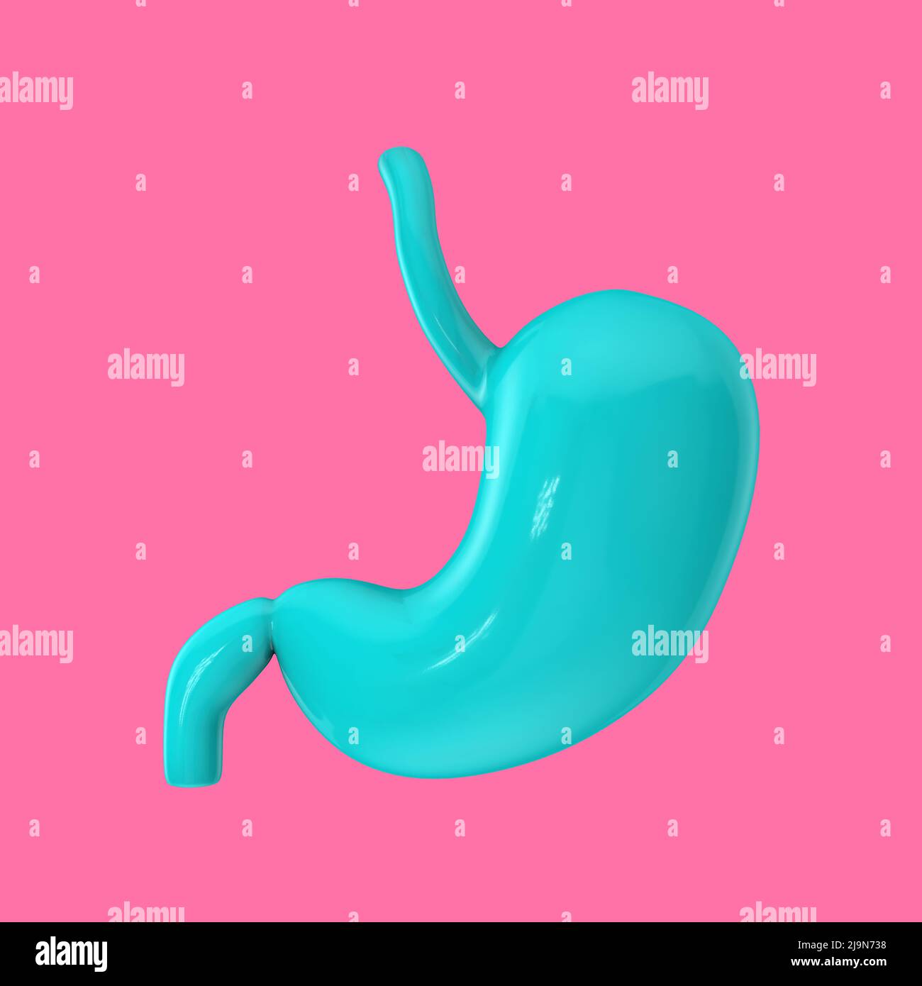 Blue Human Stomach Anatomy Internal Organ as Duotone Style on a pink ...