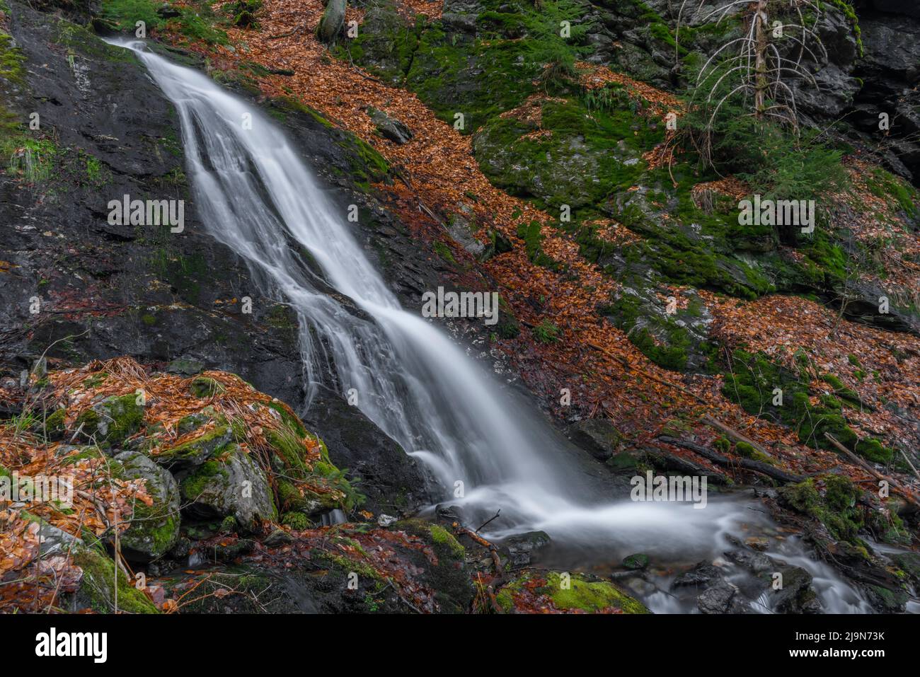 Prudky rucej creek with waterfall near confluence with Jizera river in ...