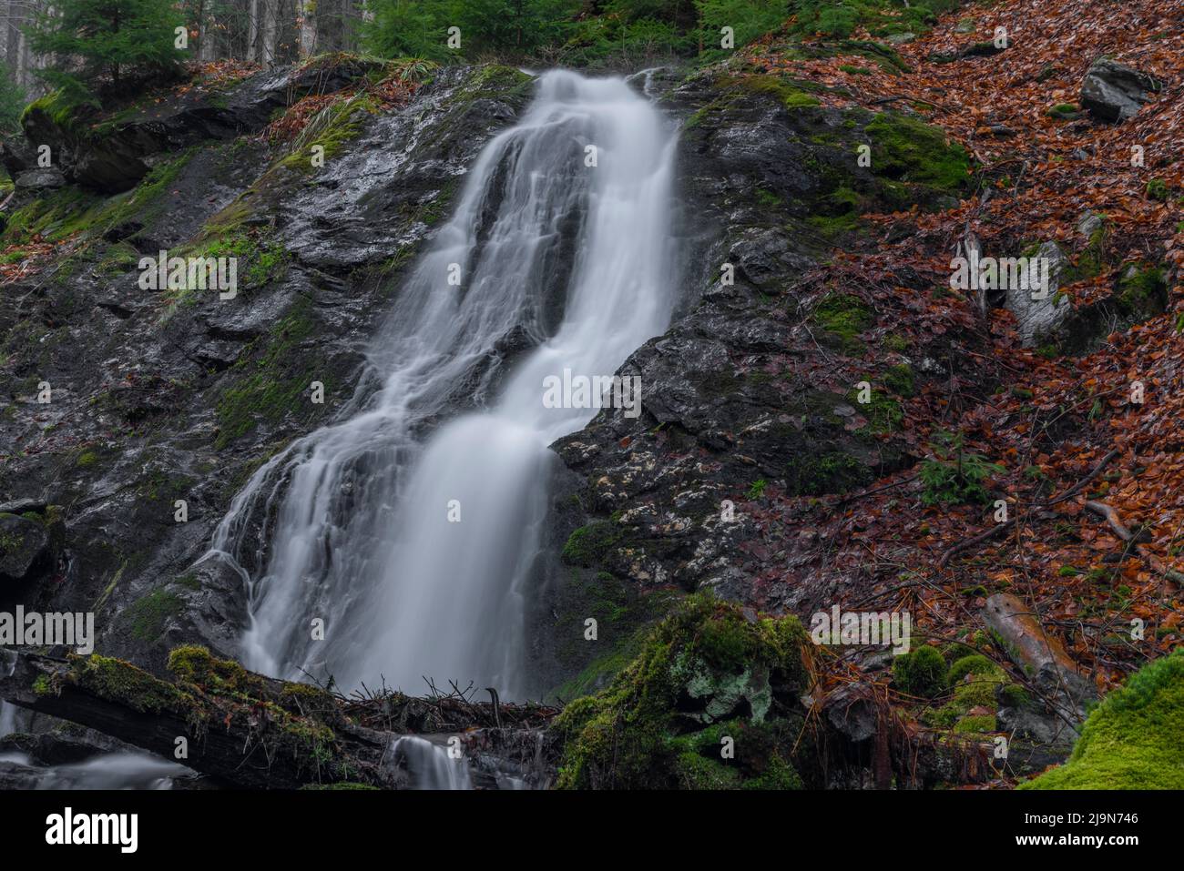Prudky rucej creek with waterfall near confluence with Jizera river in ...