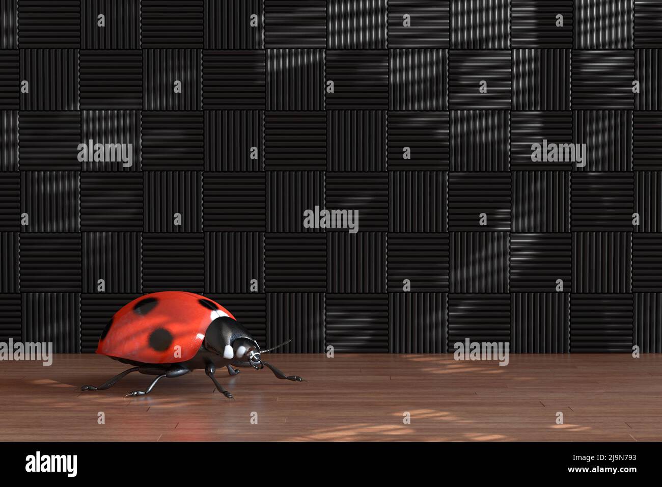 Abstract Big Red Realistic Beautiful Ladybird in Room with Black Tile ...