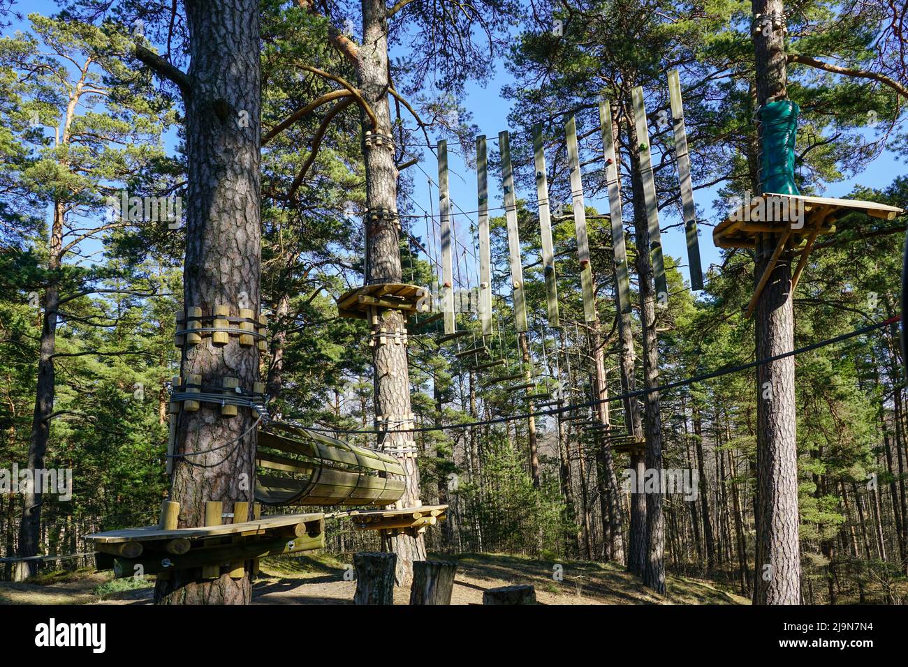 High rope and logs bridge in a pine forest, part of a ropes course in ...
