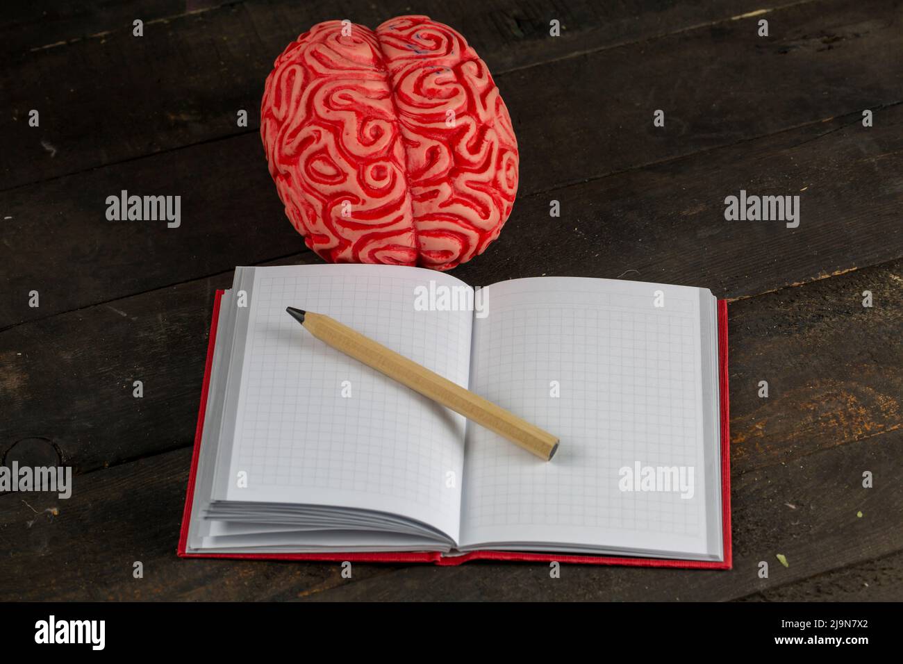 The brain and learning hi-res stock photography and images - Alamy