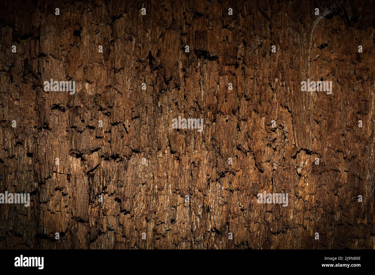 Texture of old wood with cracks. Old, cracked wood background, high ...