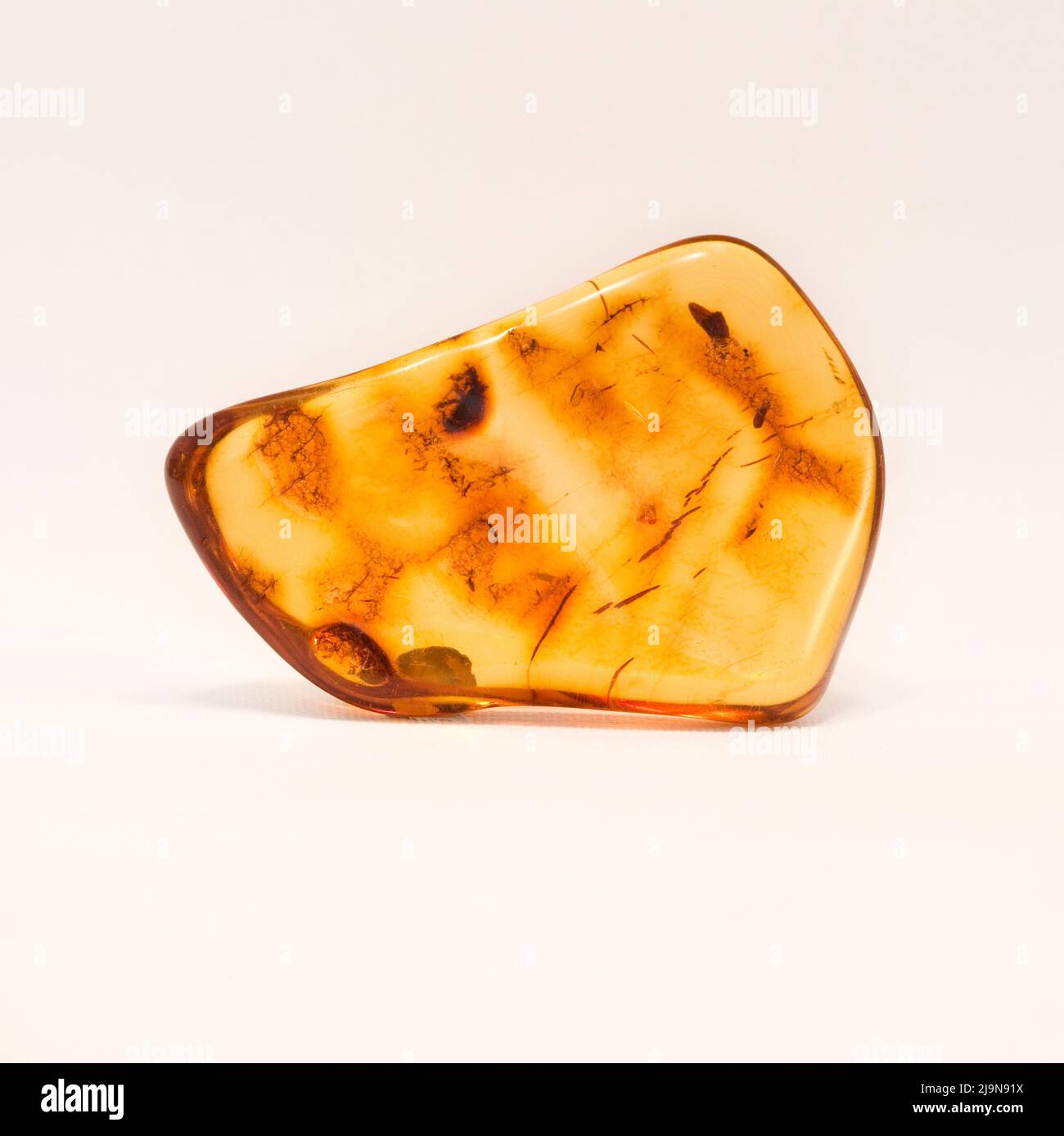 Macro close up colour photograph of a polished " Amber " a semi ...