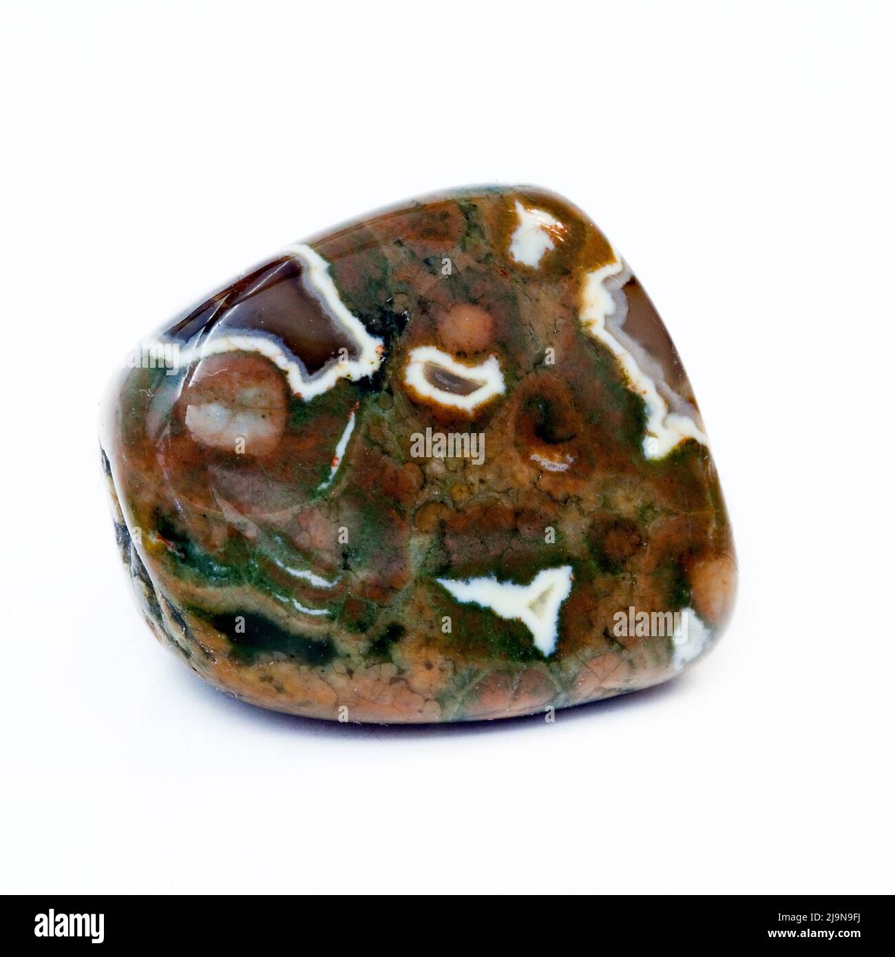 Rainforest jasper Cut Out Stock Images & Pictures - Alamy