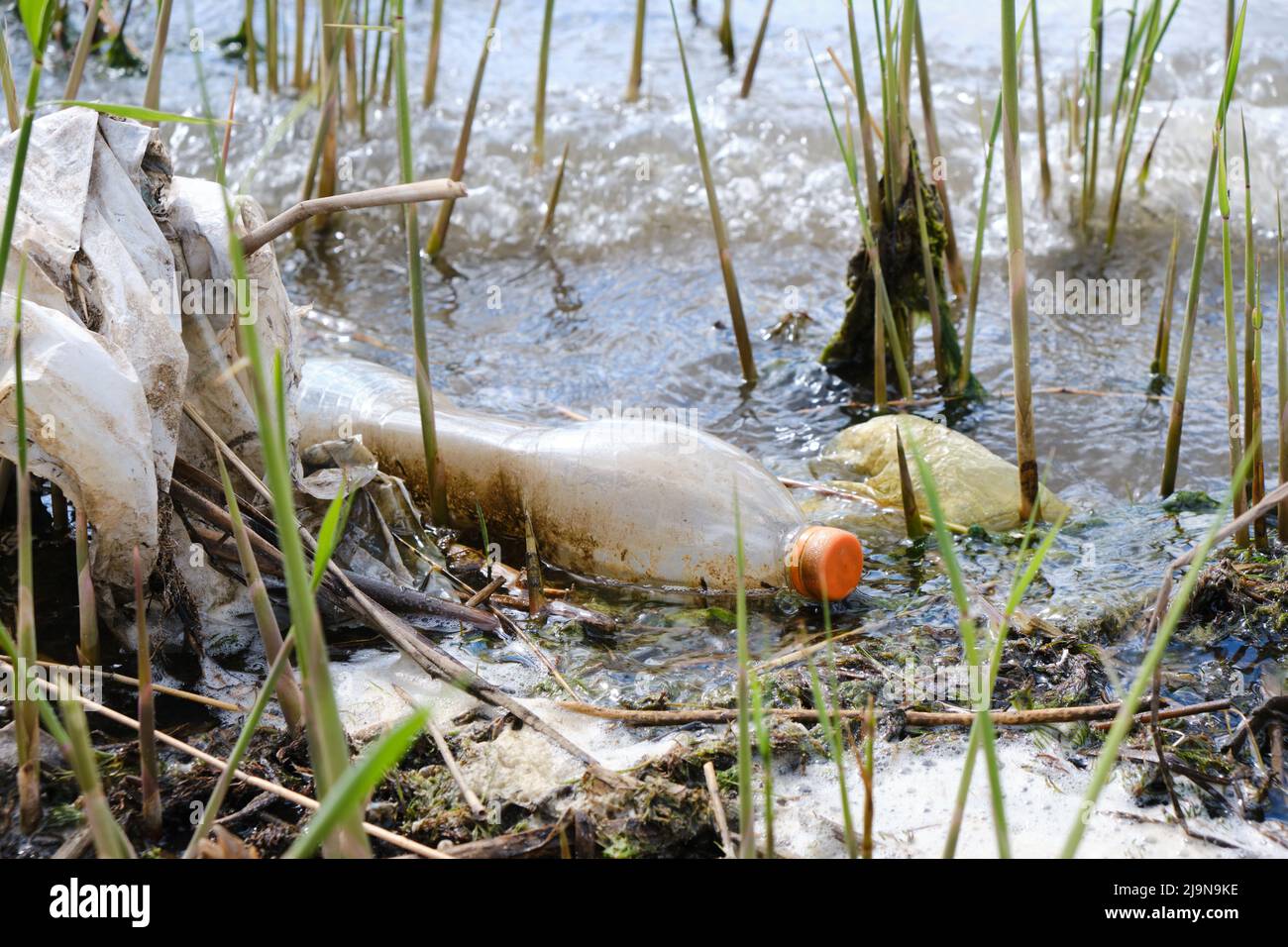 Plastic bottles, plastic bags and human waste were thrown onto ...