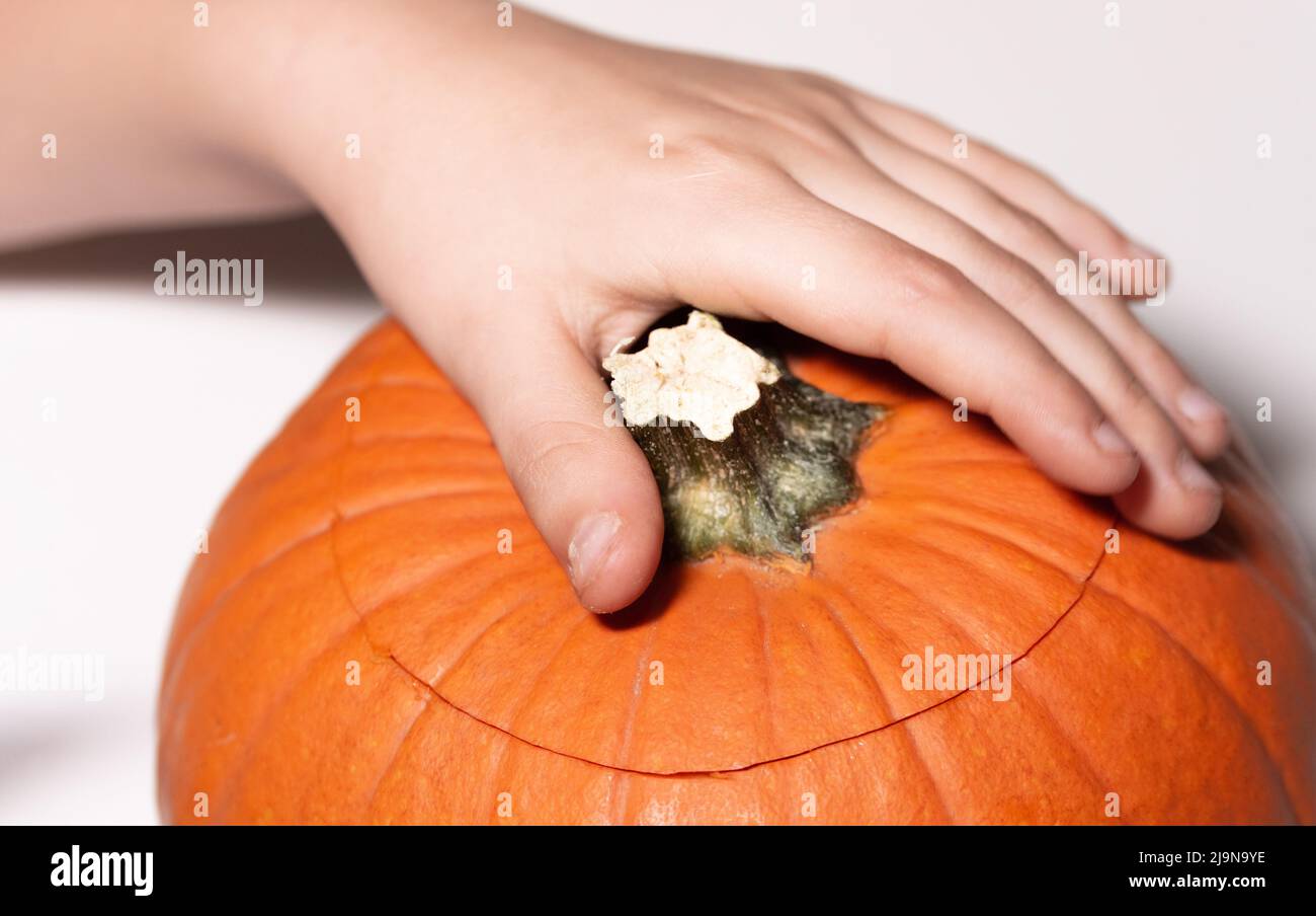 Pumpkin for Halloween. The tradition of carving out a frightening face ...