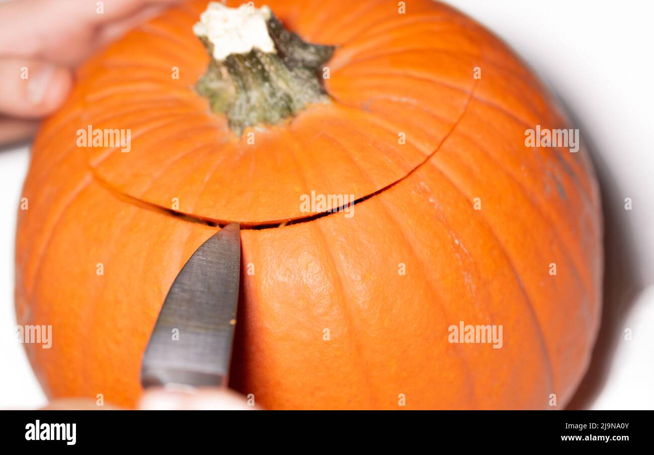 Pumpkin for Halloween. The tradition of carving out a frightening face ...