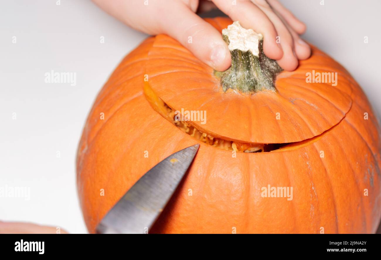 Pumpkin for Halloween. The tradition of carving out a frightening face ...