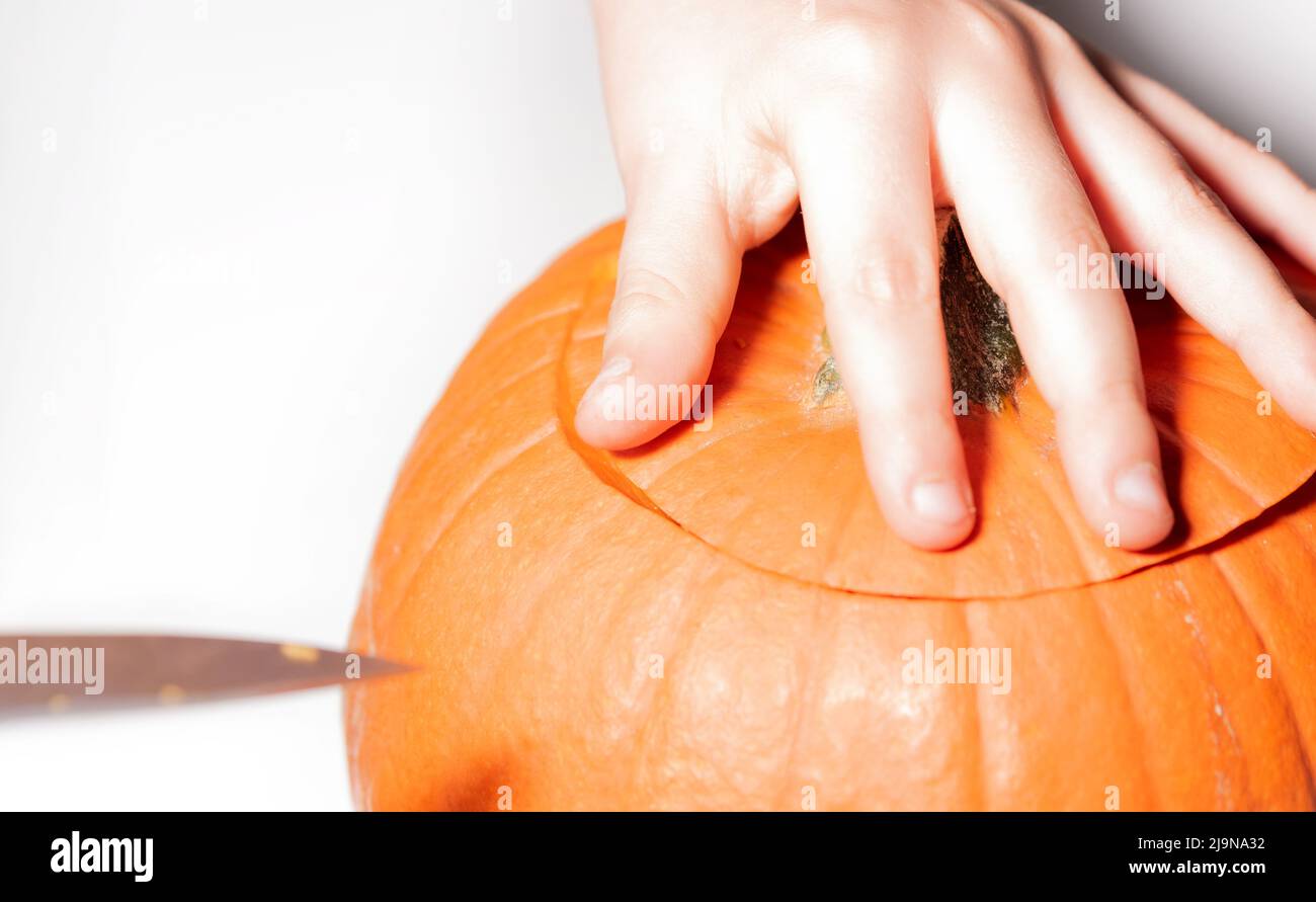 Pumpkin for Halloween. The tradition of carving out a frightening face ...