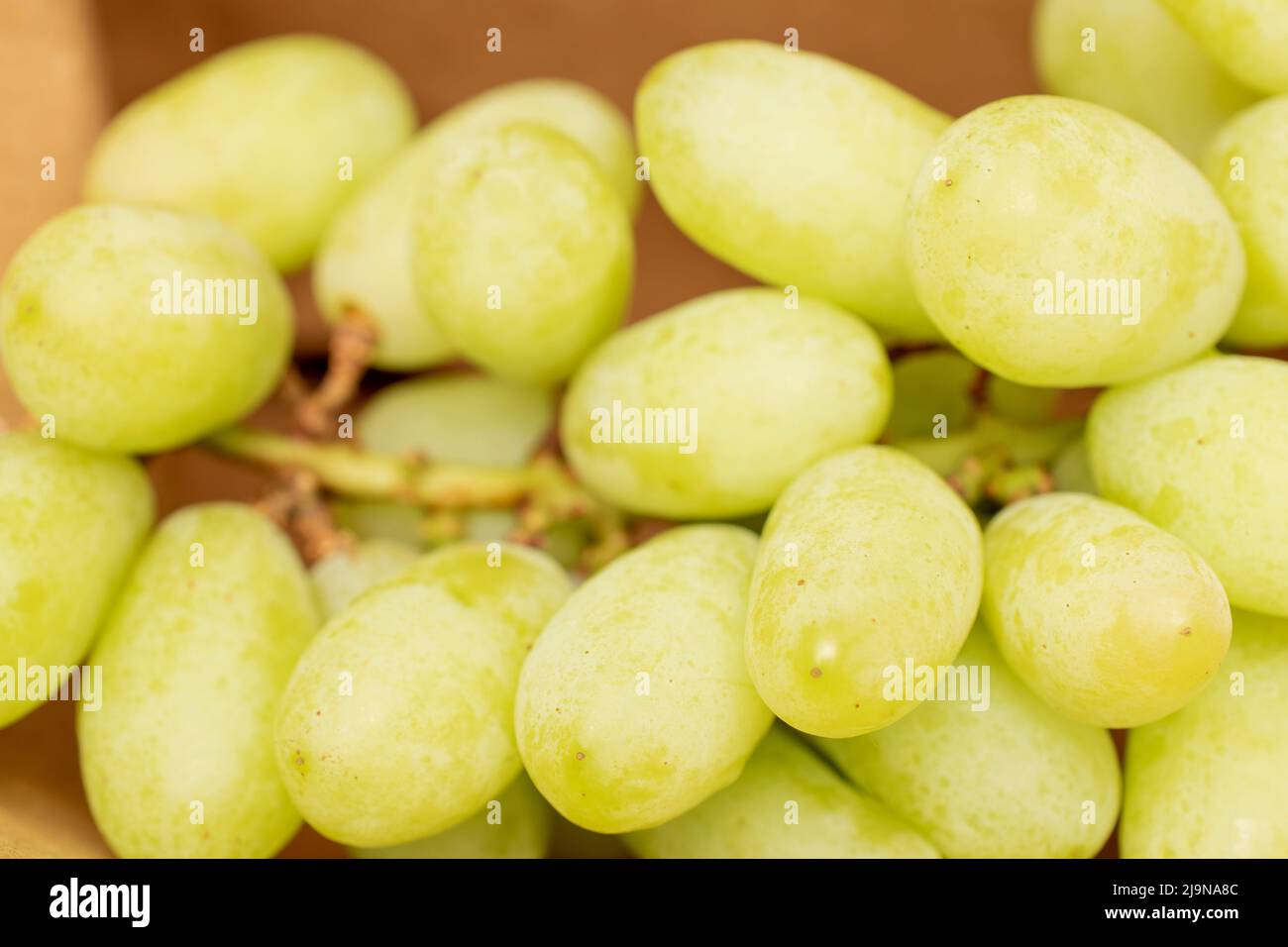 One bunch of white seedless grapes with a paper bag, close-up Stock ...