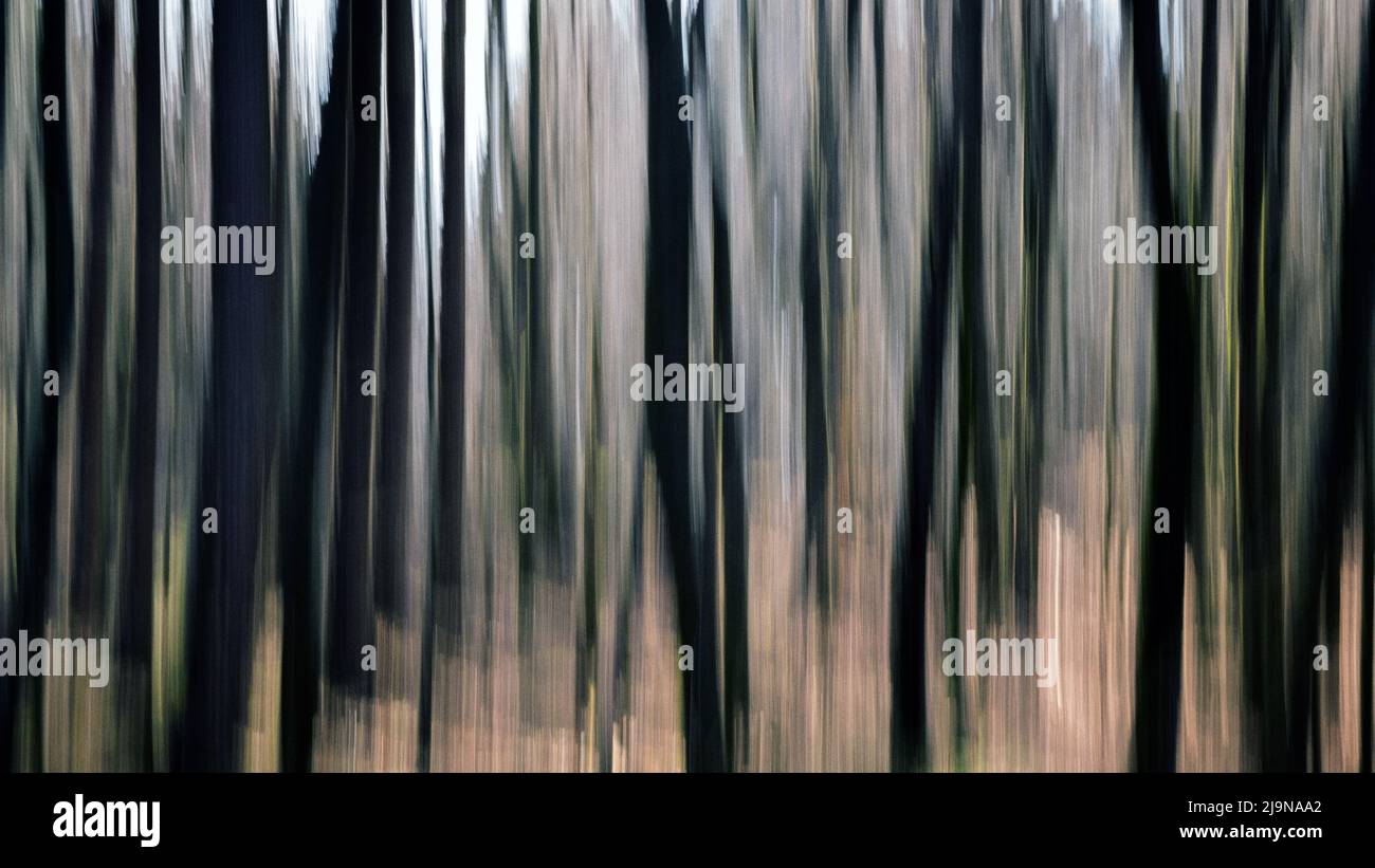 Icm hi-res stock photography and images - Alamy