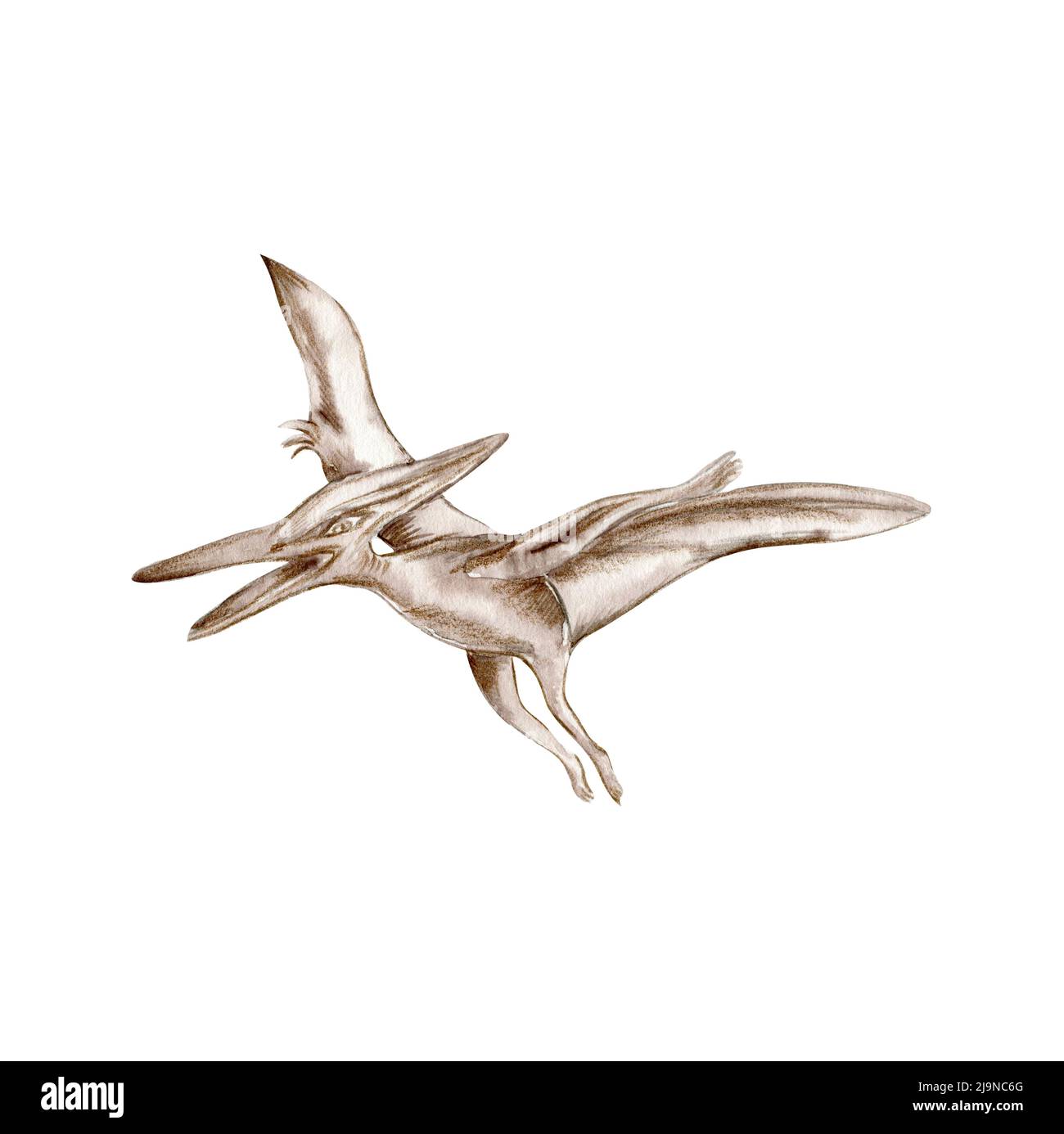 Flying Dinosaur Wallpaper