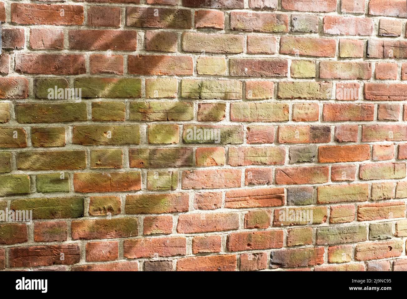Shadow detail of a trees foliage casts on a red brick wall Stock Photo ...