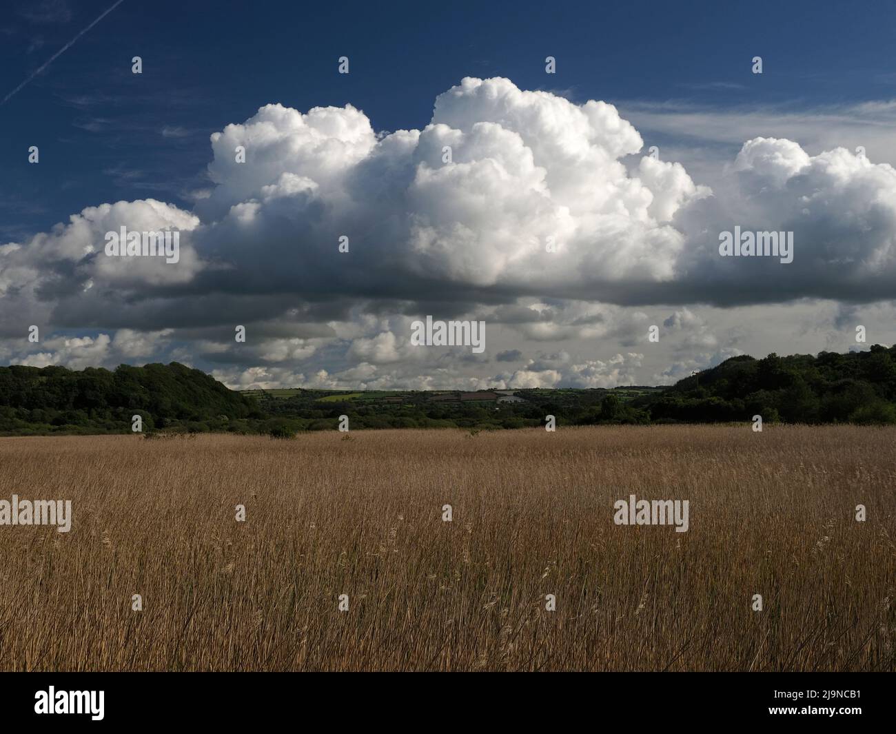Welsh wildlife centre cardigan hi-res stock photography and images - Alamy