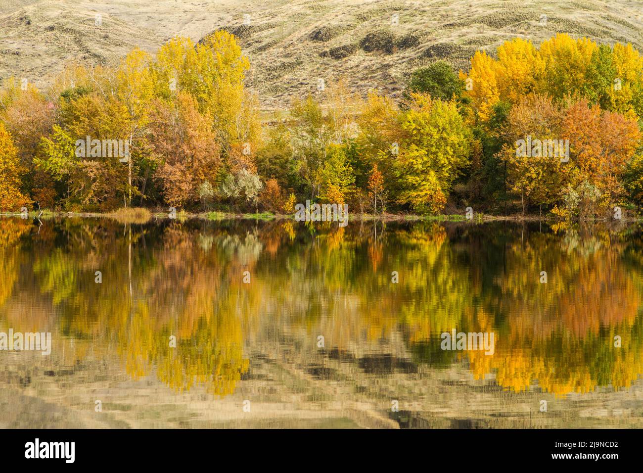 Chief timothy park hi-res stock photography and images - Alamy