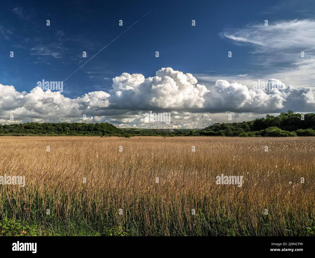 Strato cumulus clouds hi-res stock photography and images - Alamy