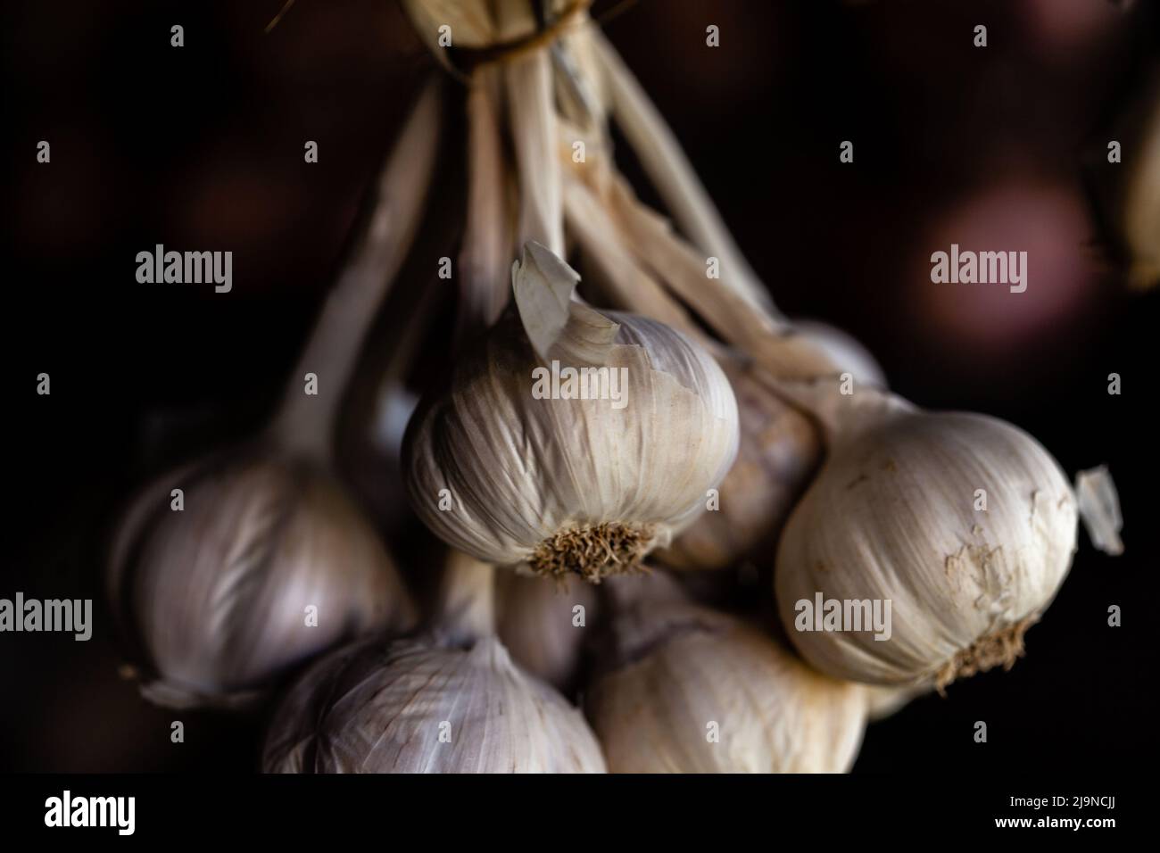 Hanging garlic hi-res stock photography and images - Alamy