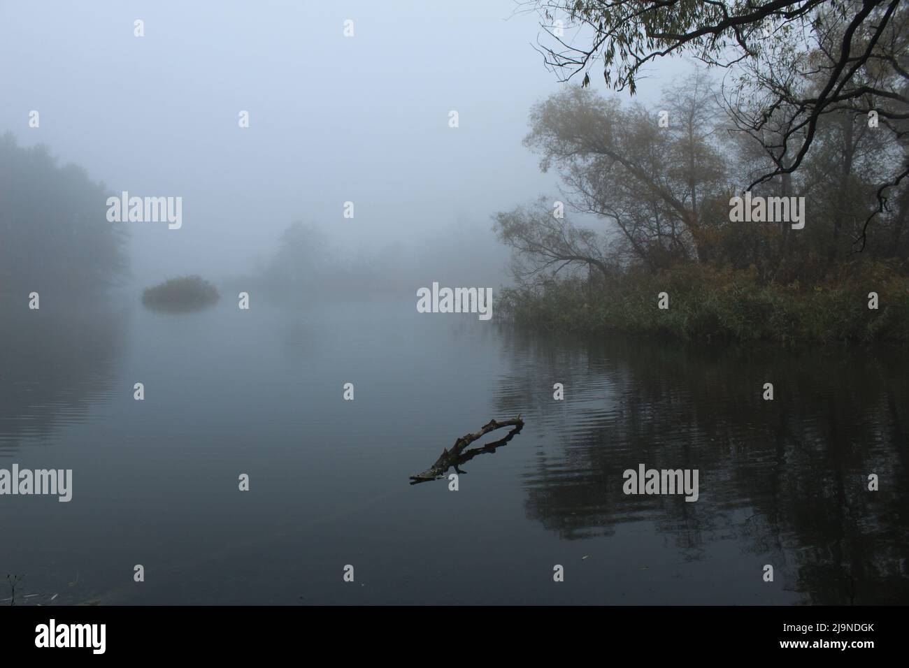 Fog over mirror surface lake hi-res stock photography and images - Alamy
