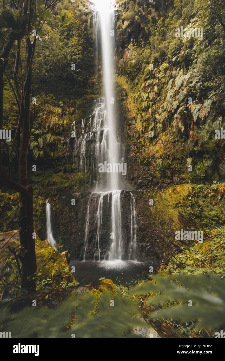 Waterfall around the levada faja do rodrigues trail on the island of ...