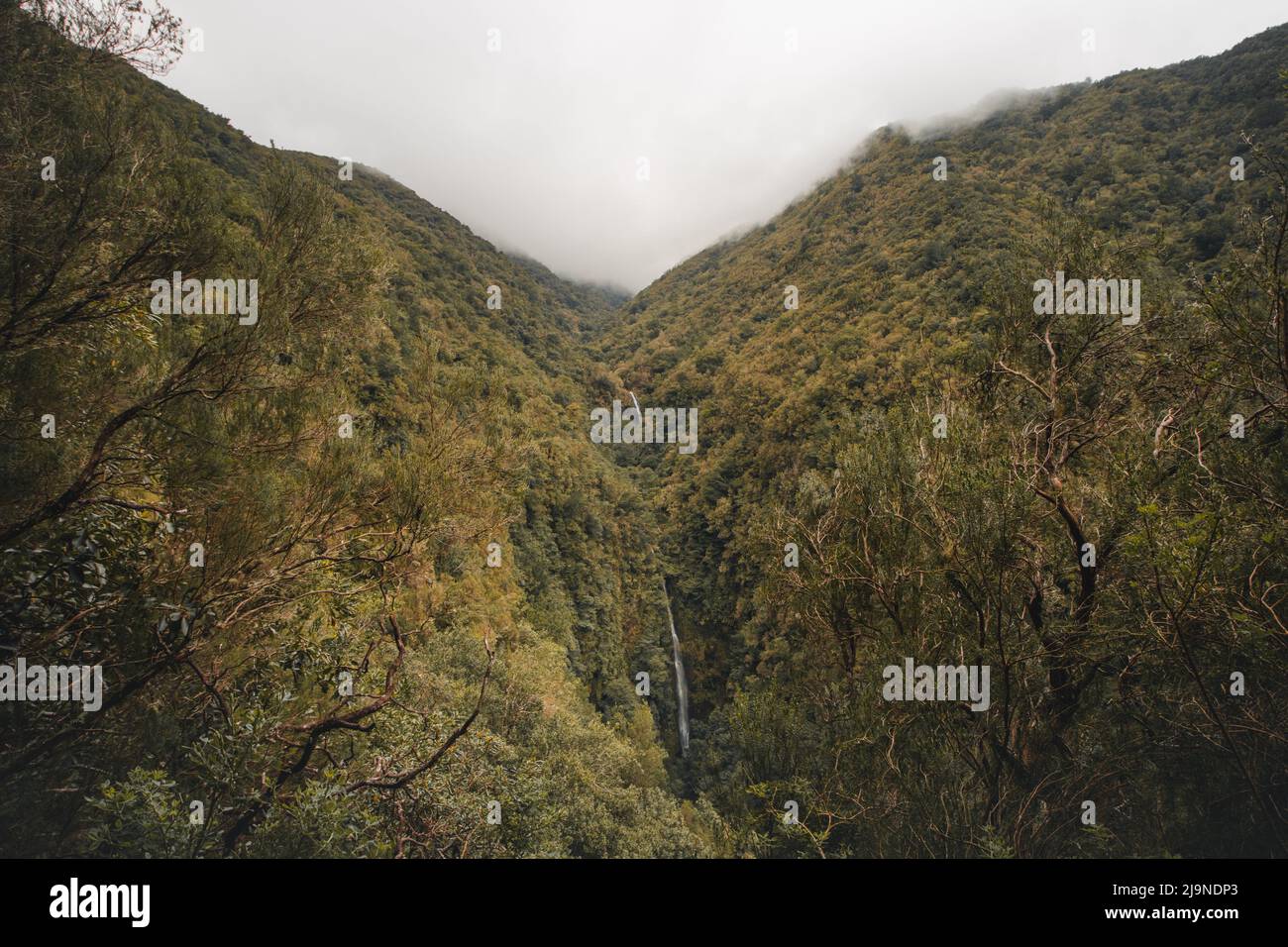Waterfall around the levada faja do rodrigues trail on the island of ...