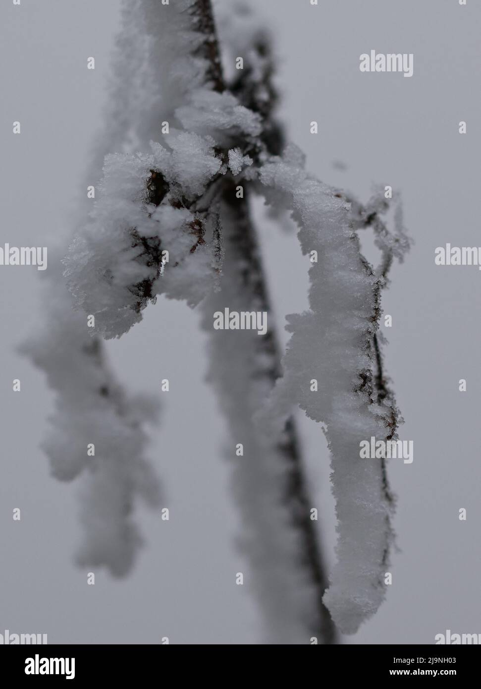 Ast schnee hi-res stock photography and images - Alamy