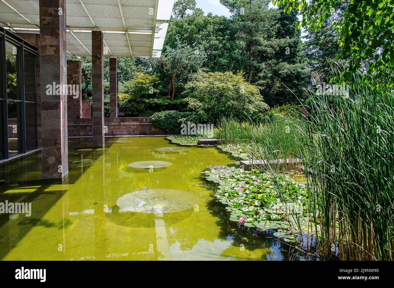 Fondation Beyeler in Riehen, Switzerland - a place for all the senses ...