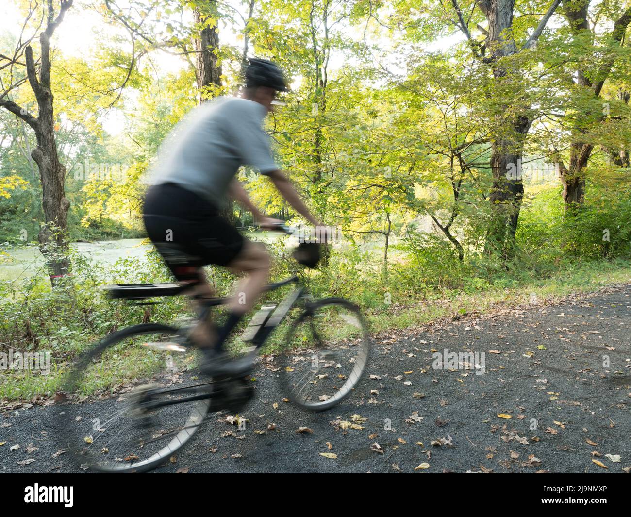 Motion blur shot of a tall white male riding a bicycle on a wooded path ...