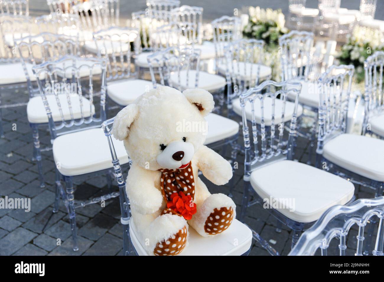 Big teddy bear sits at the wedding ceremony Stock Photo - Alamy