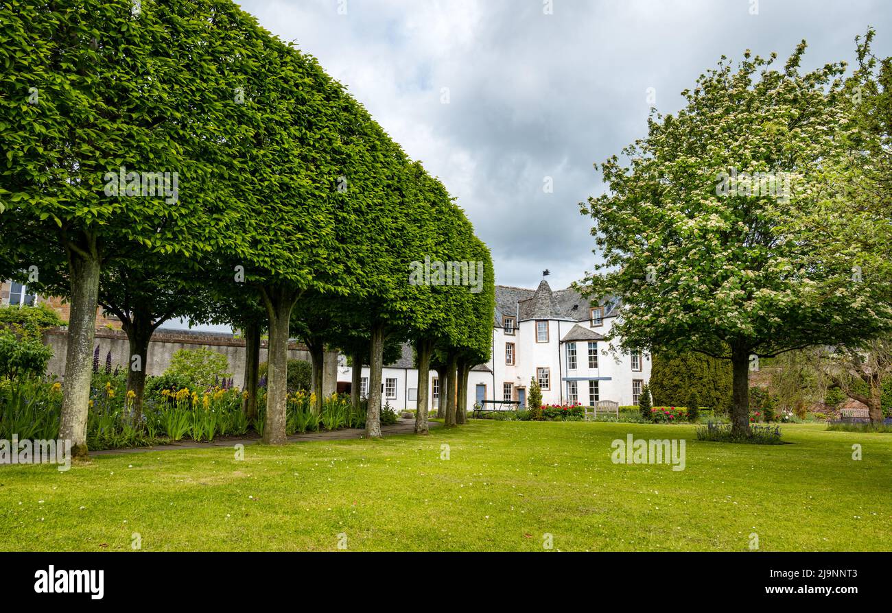 Tree trees historic hi-res stock photography and images - Alamy