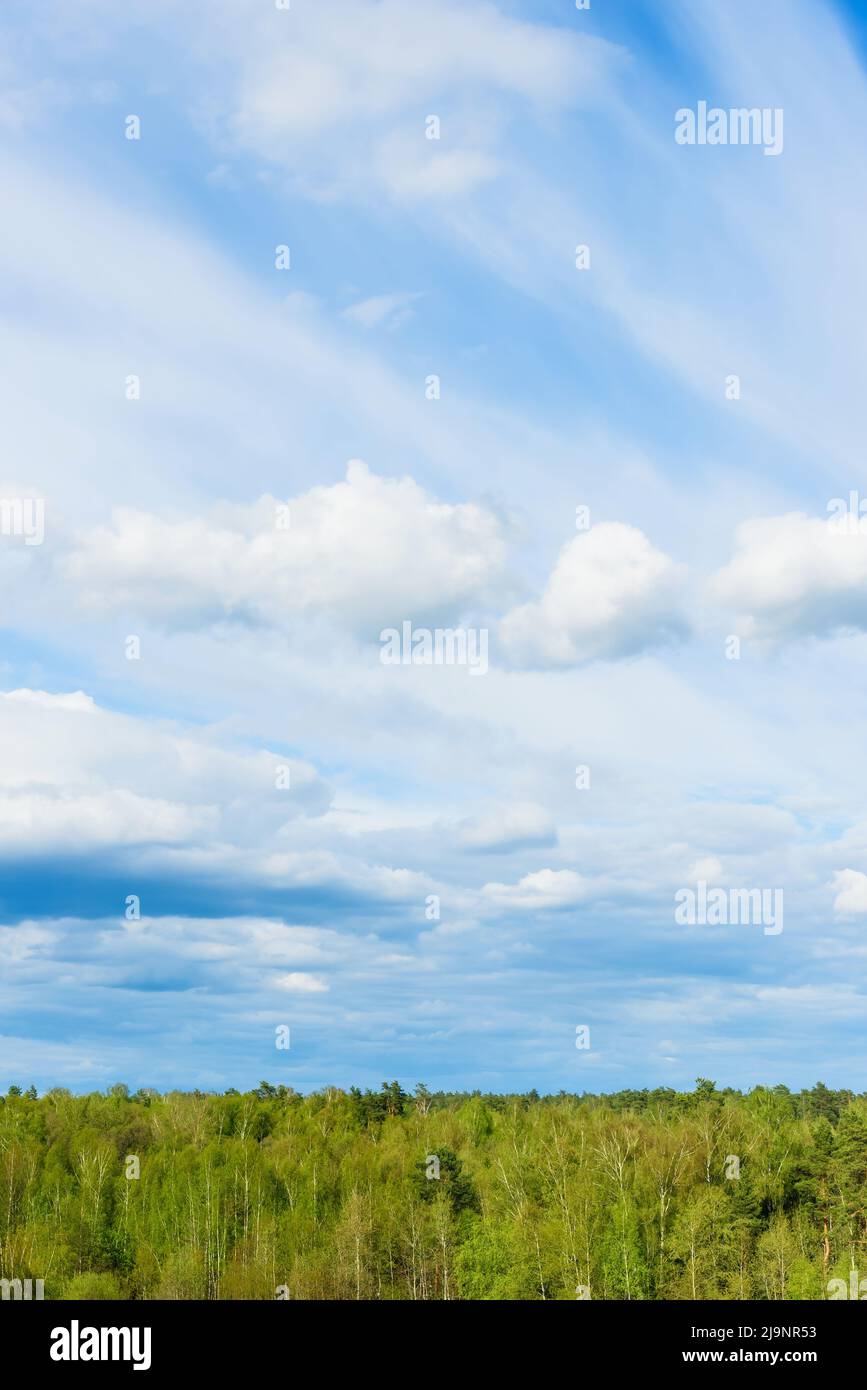 Green treetops and beautiful cloudy blue sky. Forest landscape view ...