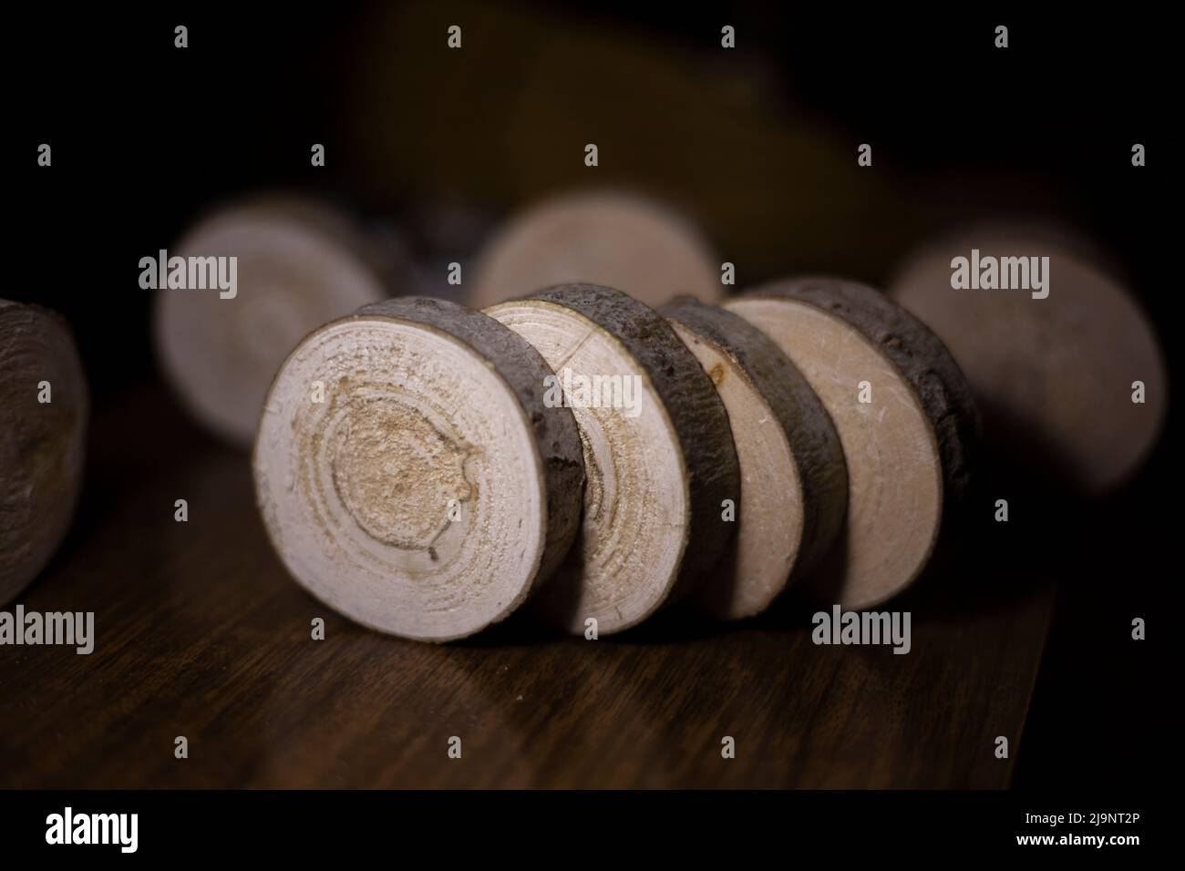 A log chopped into circles. Wood blanks. Texture of a young plant cut ...