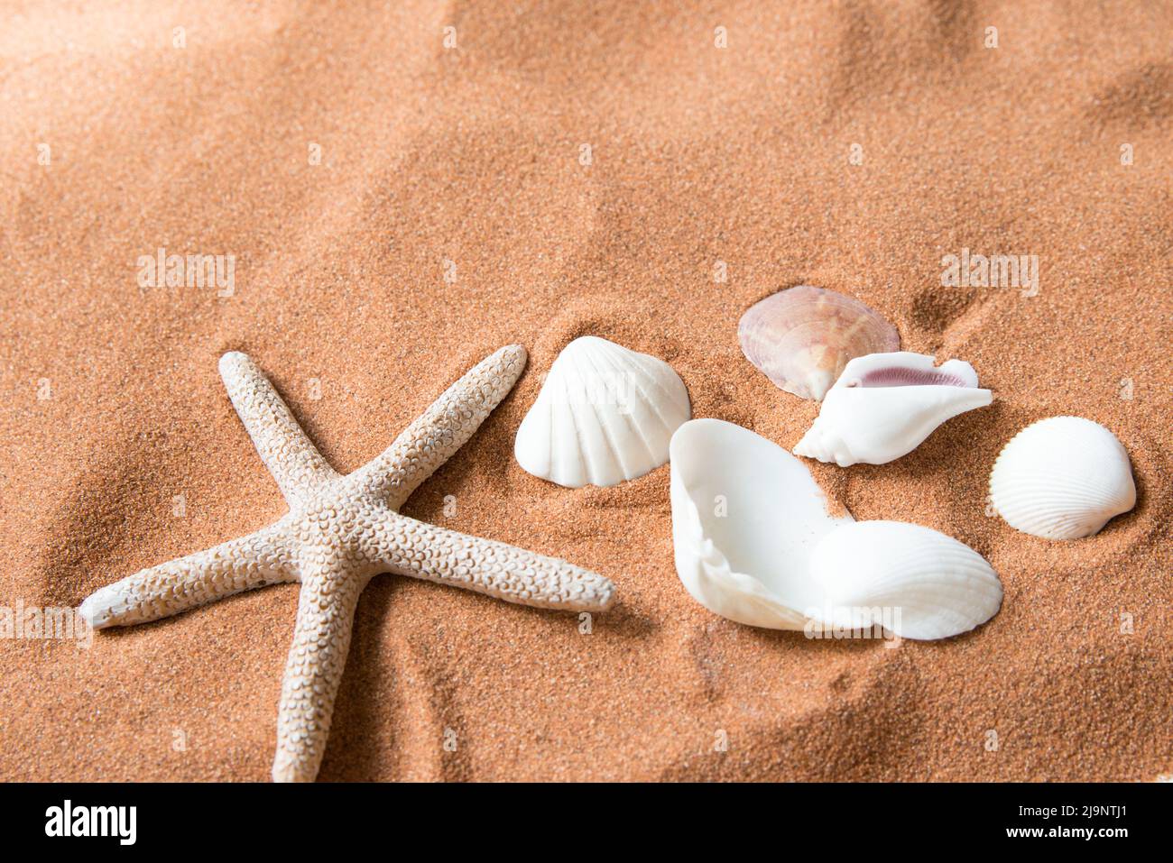 Starfish and many shells on beach sand. Concept summer Stock Photo - Alamy