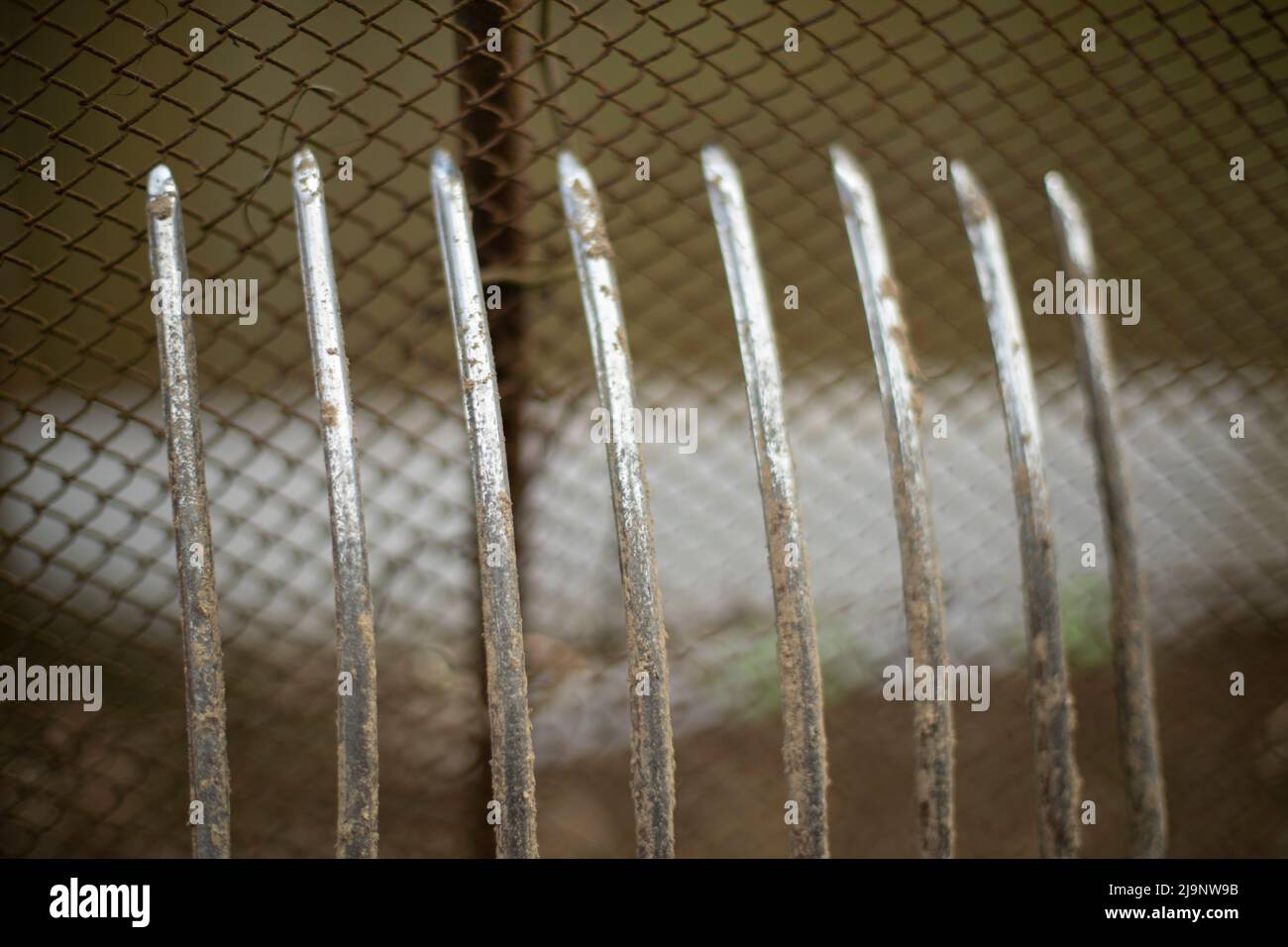 Rake for garden. Garden tools. Steel rake is leaned against mesh fence ...