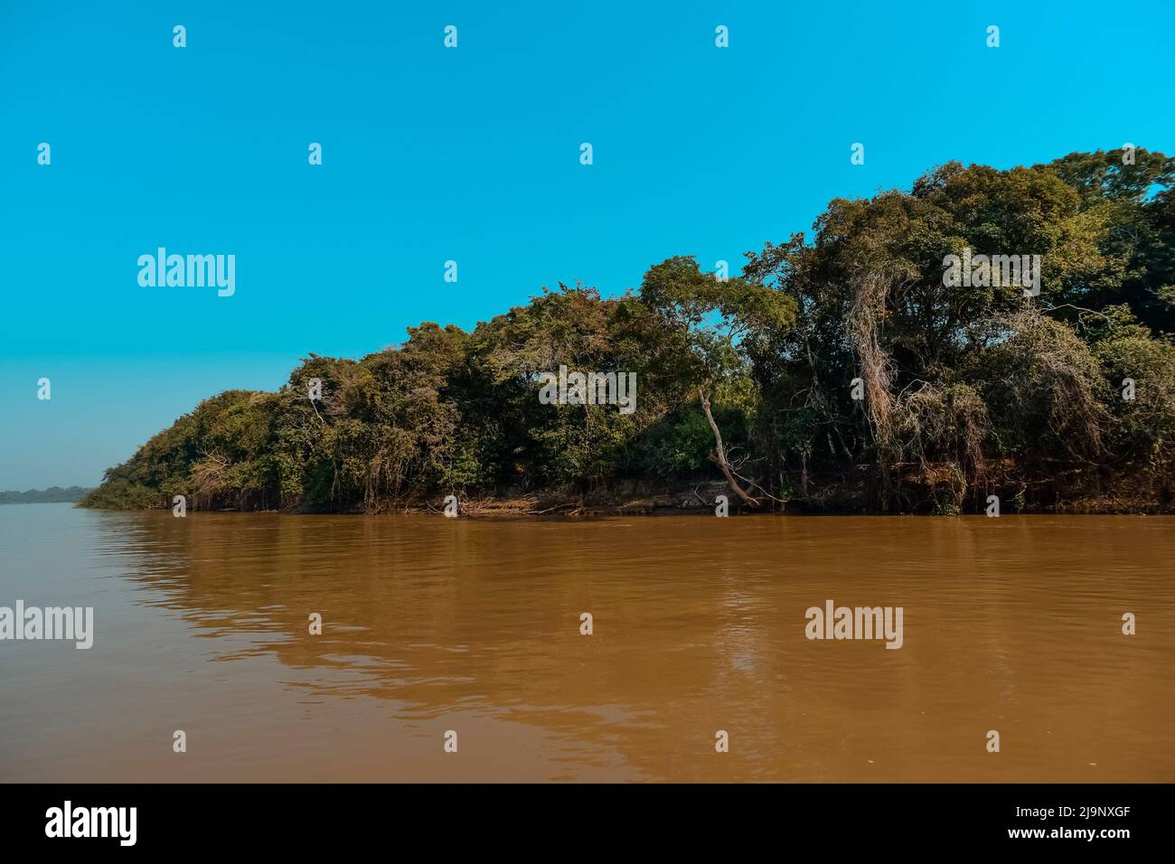 Cuiabá river landscape, Pantanal Forest , Mato grosso, Brazil Stock Photo - Alamy
