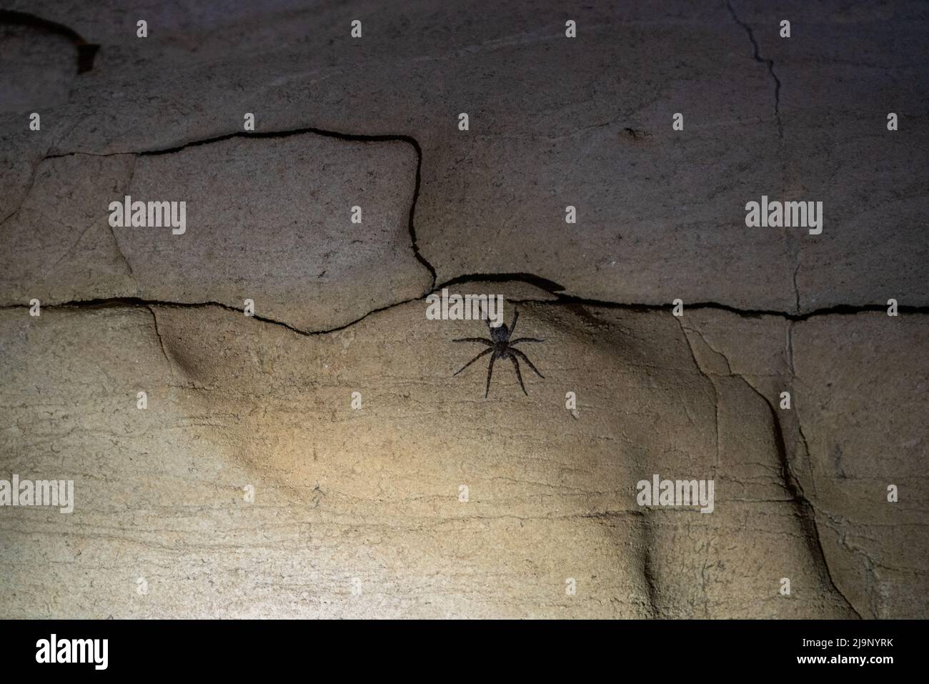 The Cave System at Mammoth Cave National Park Stock Photo - Alamy