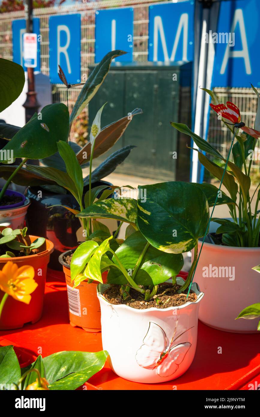 London, Penge, United Kingdom - April 30, 2022: Maple Road Market (a ...