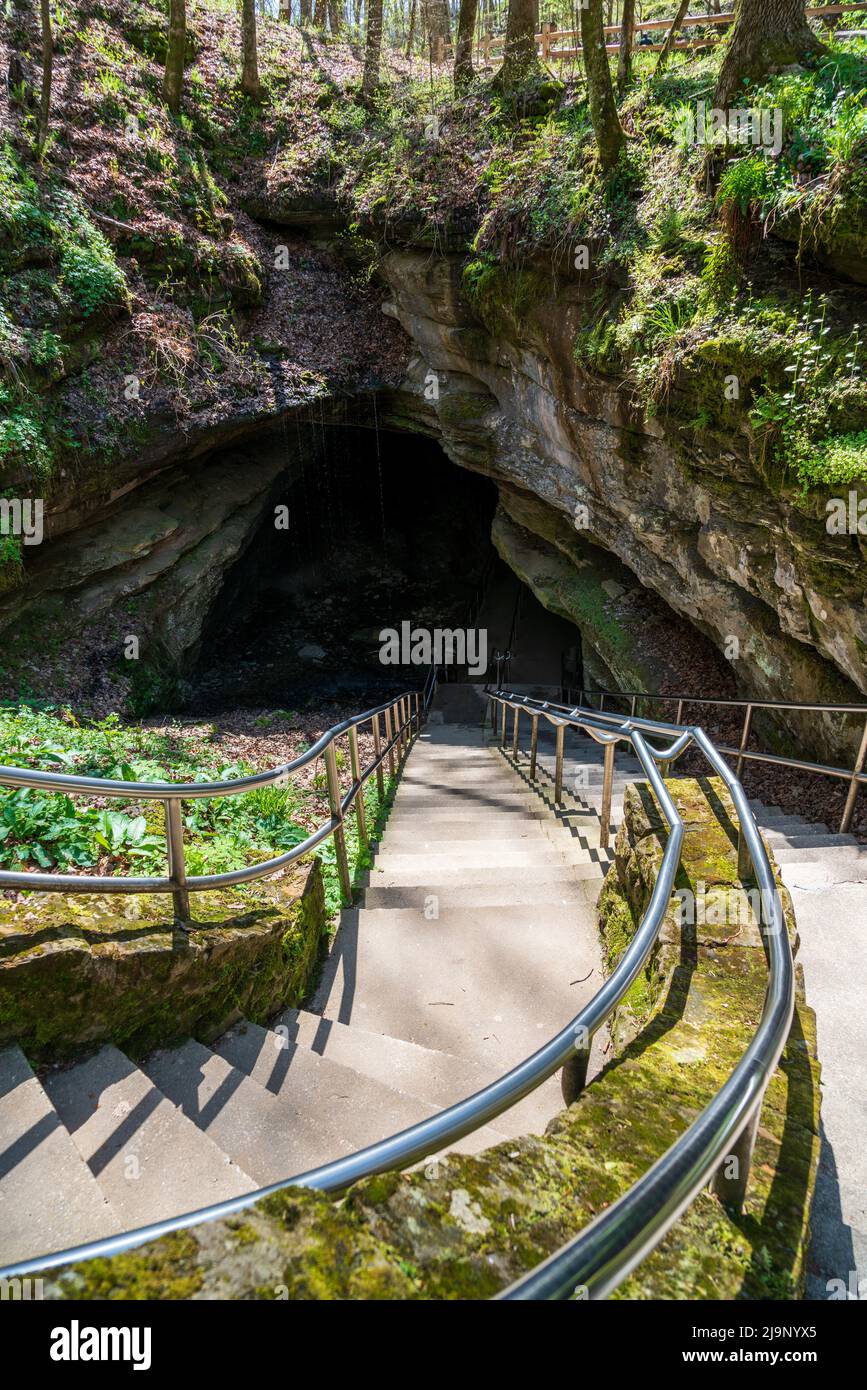 The stairs into the entrance at Mammoth Caves Stock Photo - Alamy