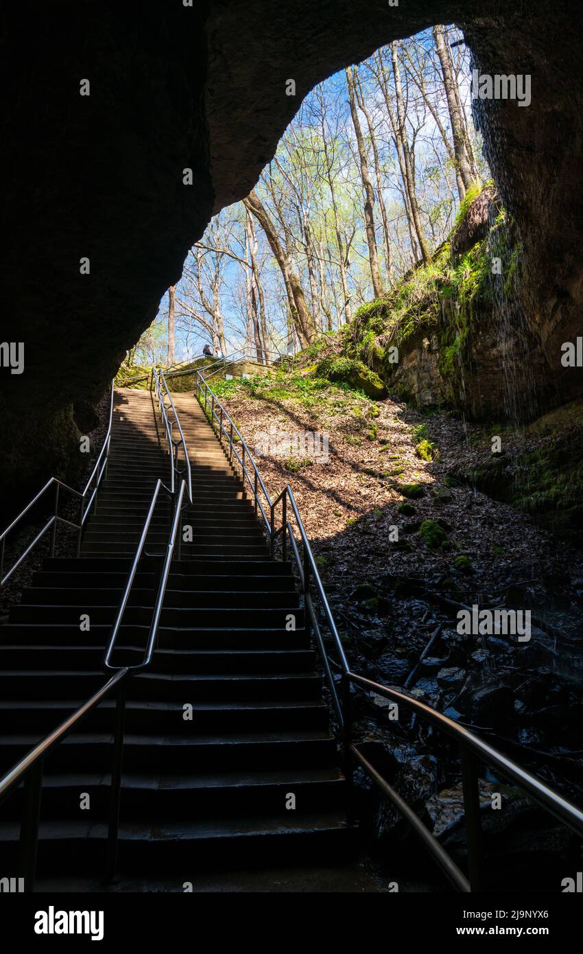 The stairs out of the entrance at Mammoth Caves Stock Photo - Alamy