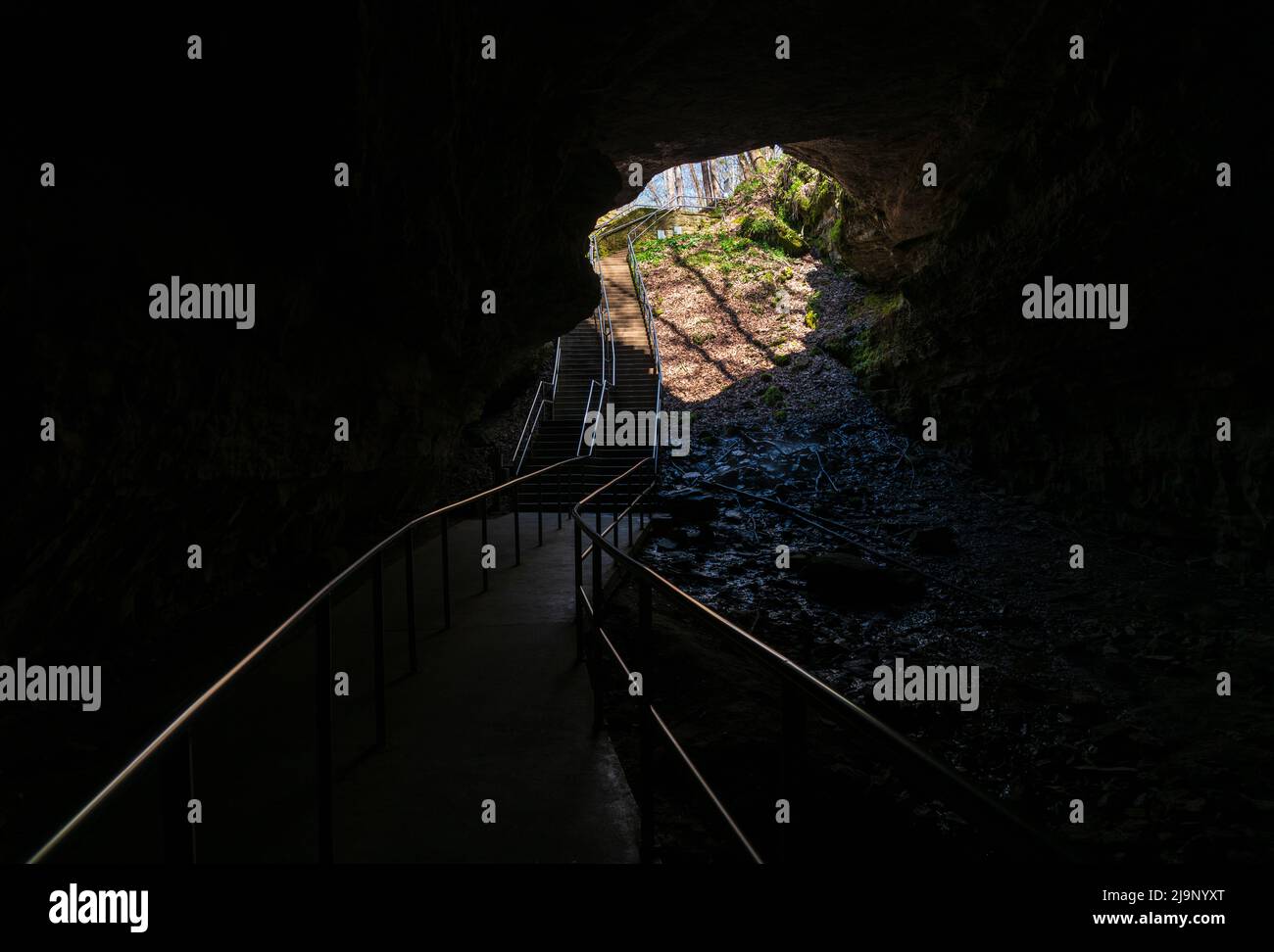 The stairs out of the entrance at Mammoth Caves Stock Photo - Alamy