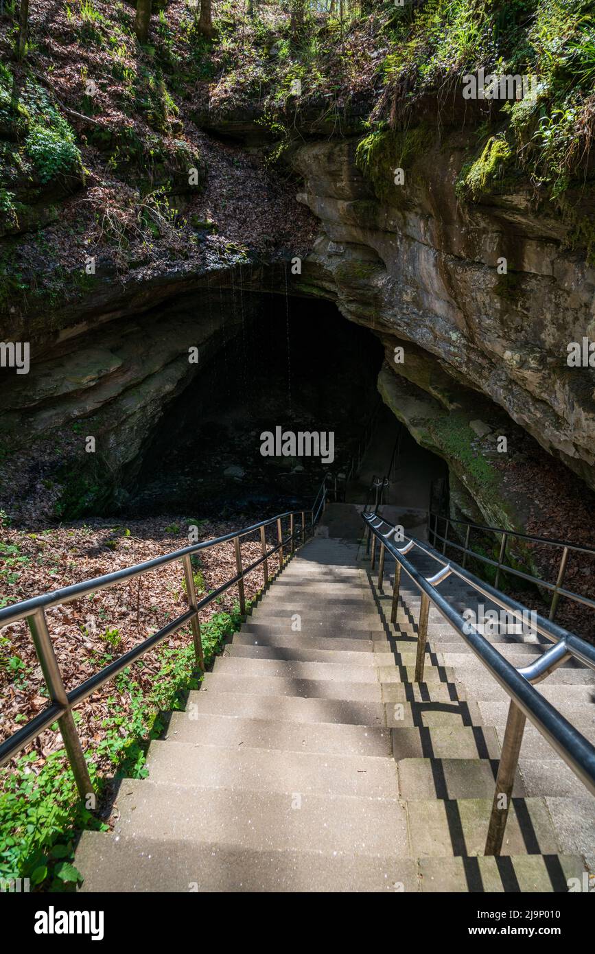 The stairs into the entrance at Mammoth Caves Stock Photo - Alamy