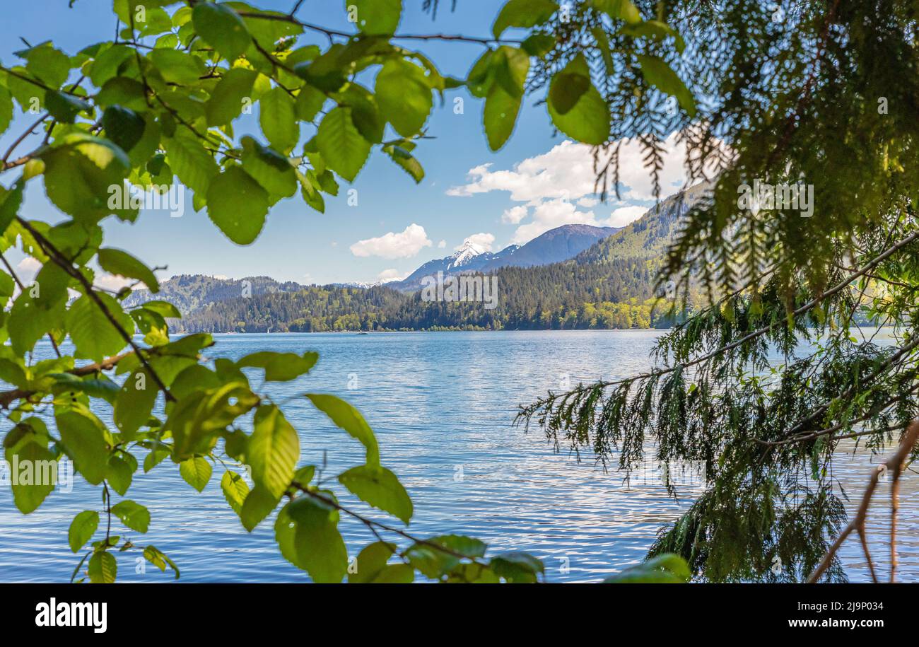 Beautiful View at Cultus Lake, BC, Canada. Relax time in Cultus Lake ...