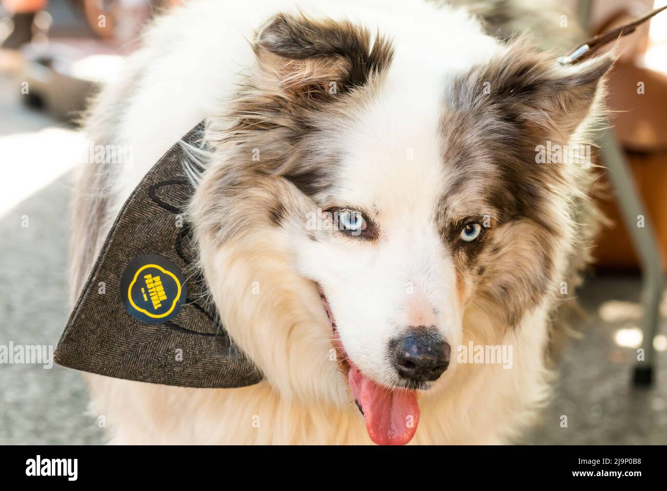 London, Penge, United Kingdom - April 30, 2022: Maple Road Market (a ...